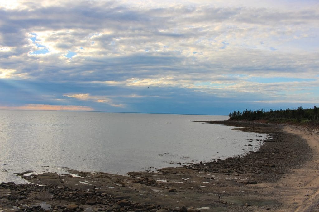 Pictou Island: An Off-The-Grid Paradise in Nova Scotia | Dashboard Living
