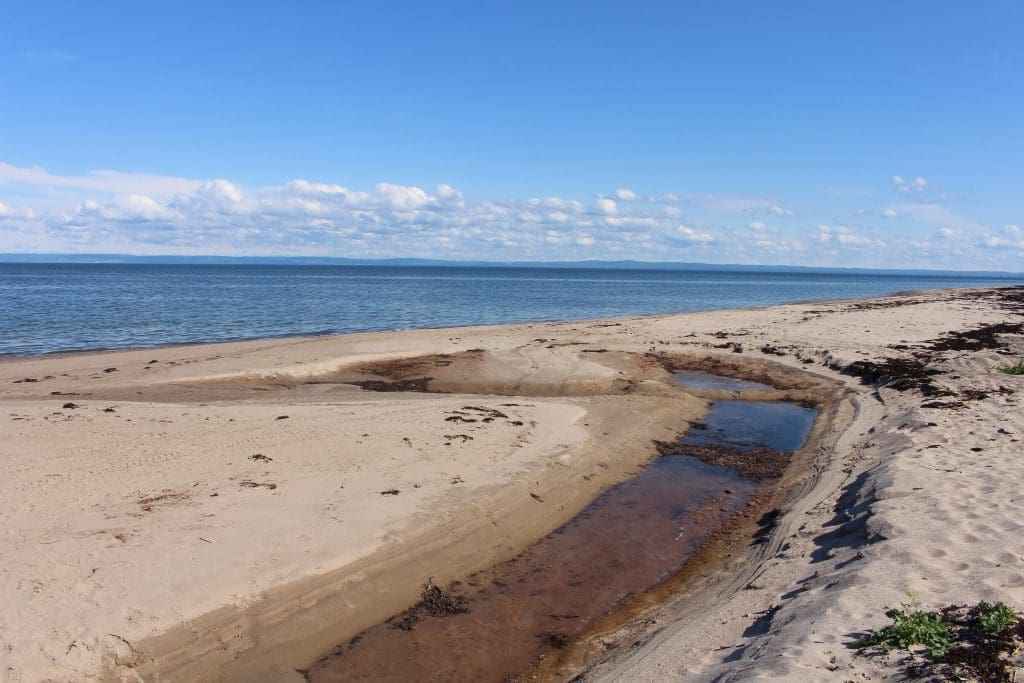 Pictou Island: An Off-The-Grid Paradise in Nova Scotia | Dashboard Living