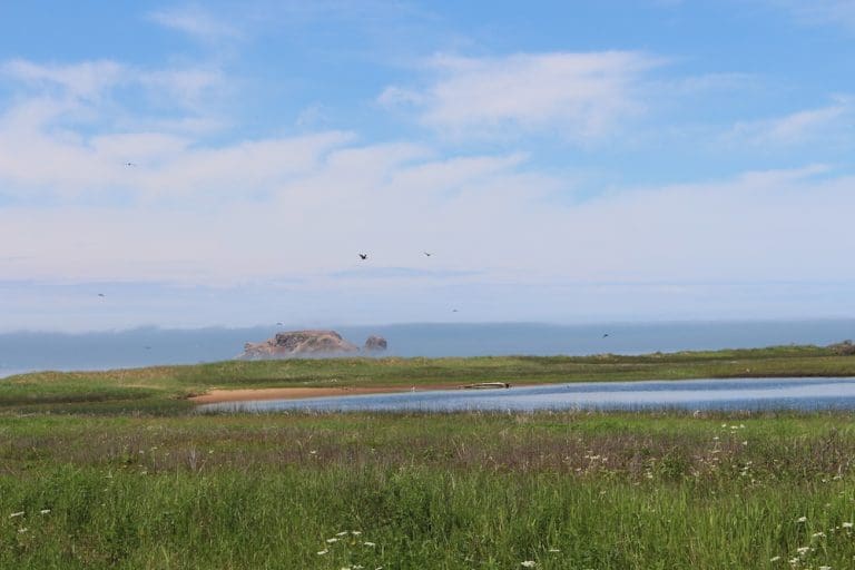 Ultimate Magdalen Islands Travel Guide | Everything You Need to Know