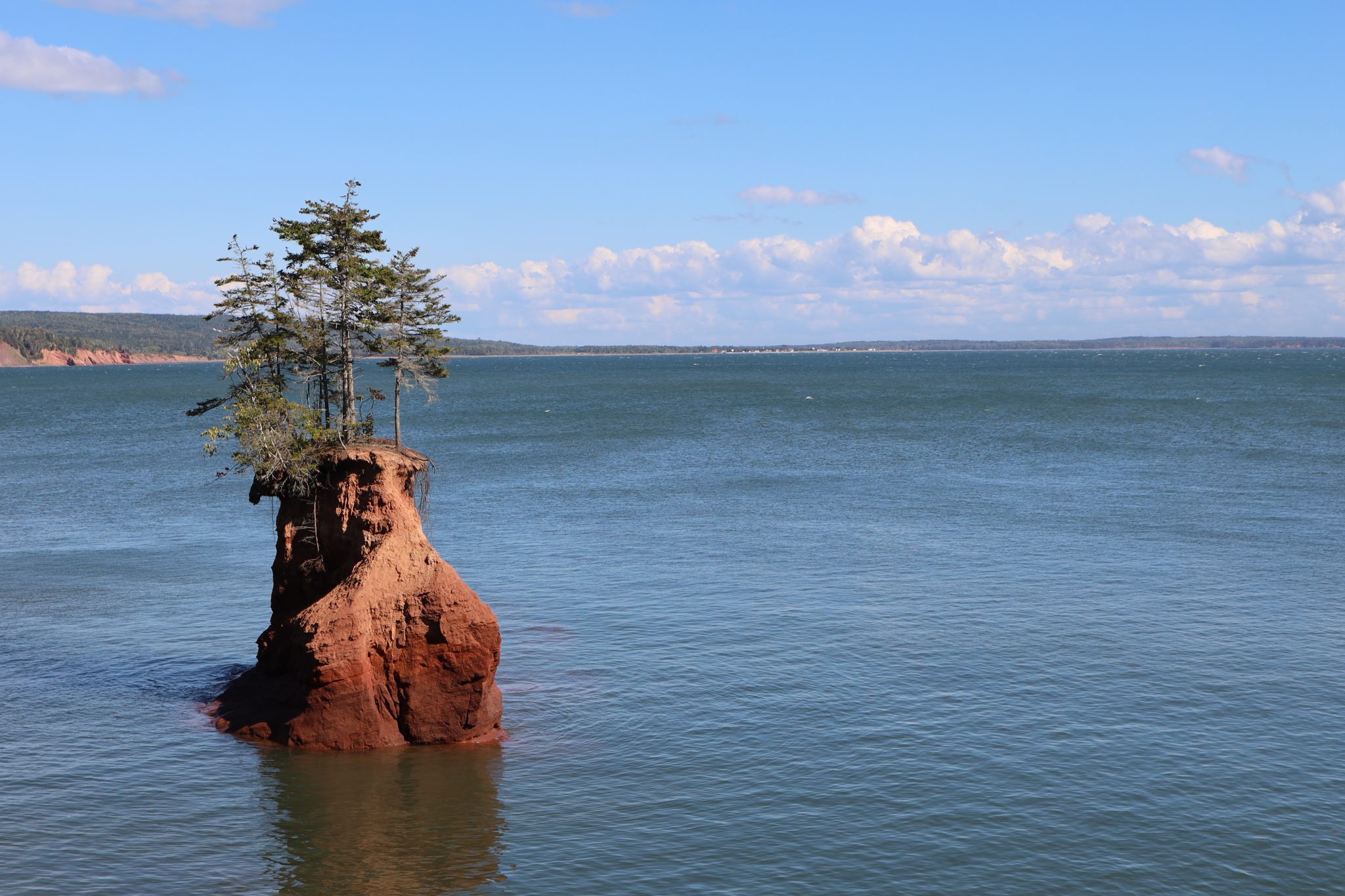 Bay of Fundy Travel Guide | Dashboard Living